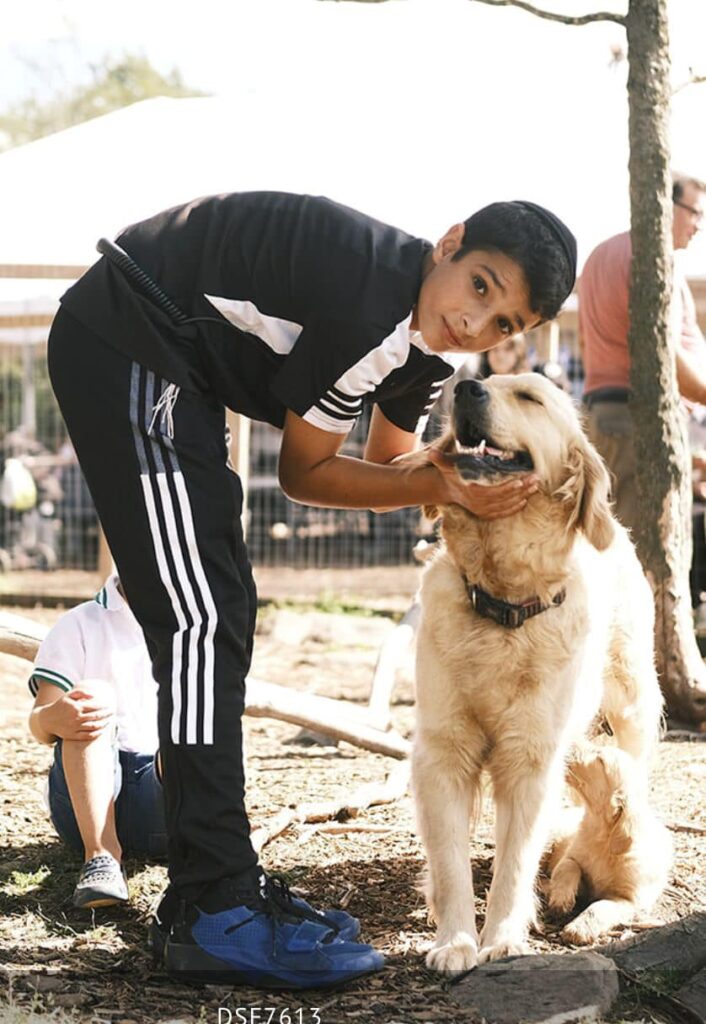 Building a Lifelong Bond with Your Golden Retriever - Goldscheins Goldens